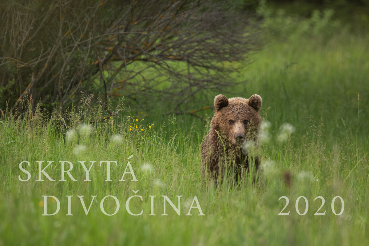 Skrytá divočina - piate pokračovanie príbehov z divokej slovenskej ...